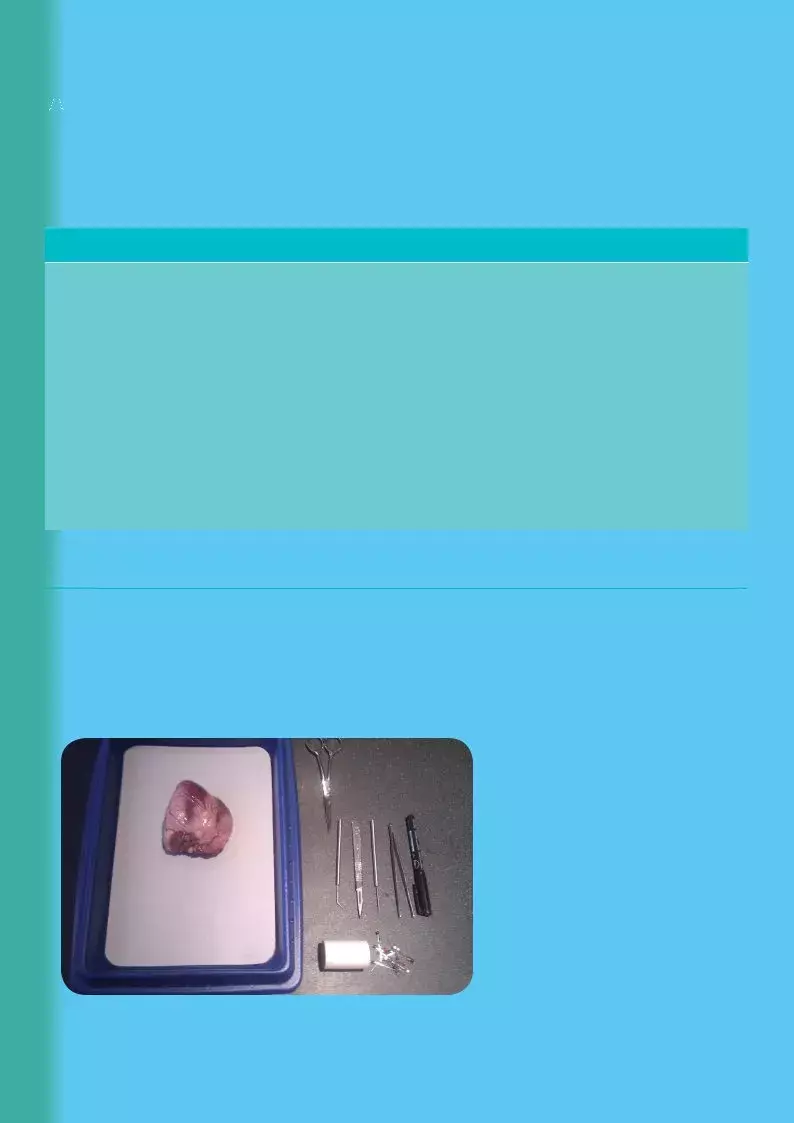 Blank Anatomy Lab Heart Dissection | Fill Out and Print PDFs