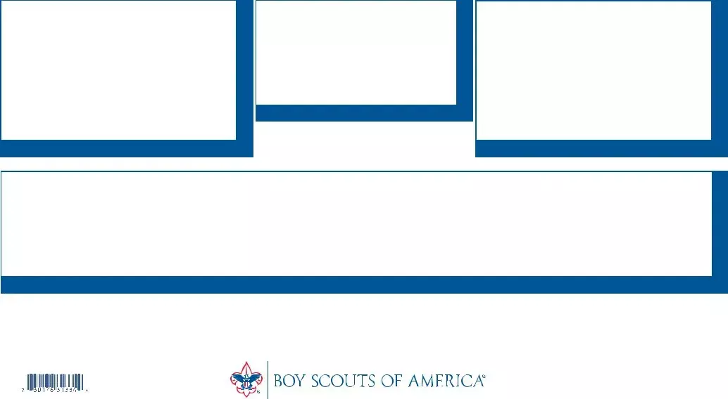 Blank Bsa Adult Application | Fill Out and Print PDFs