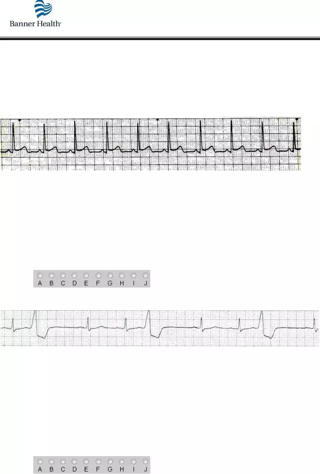 Blank Ekg Practice Form | Fill Out and Print PDFs