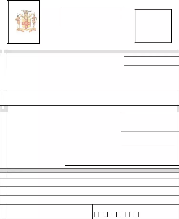 Blank Jamaican Passport Application Form | Fill Out and Print PDFs