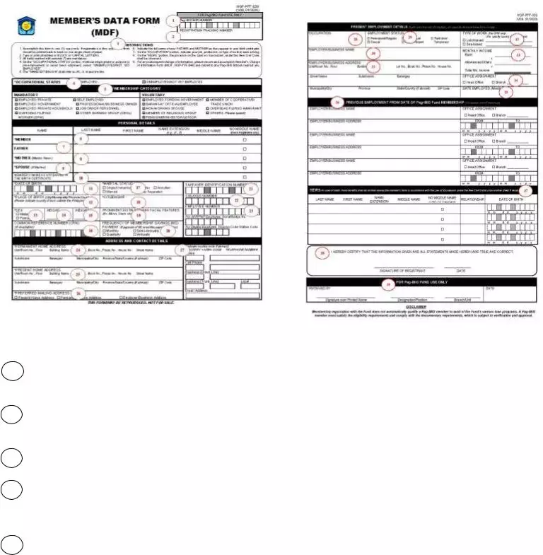 Blank Member Data Mdf | Fill Out and Print PDFs