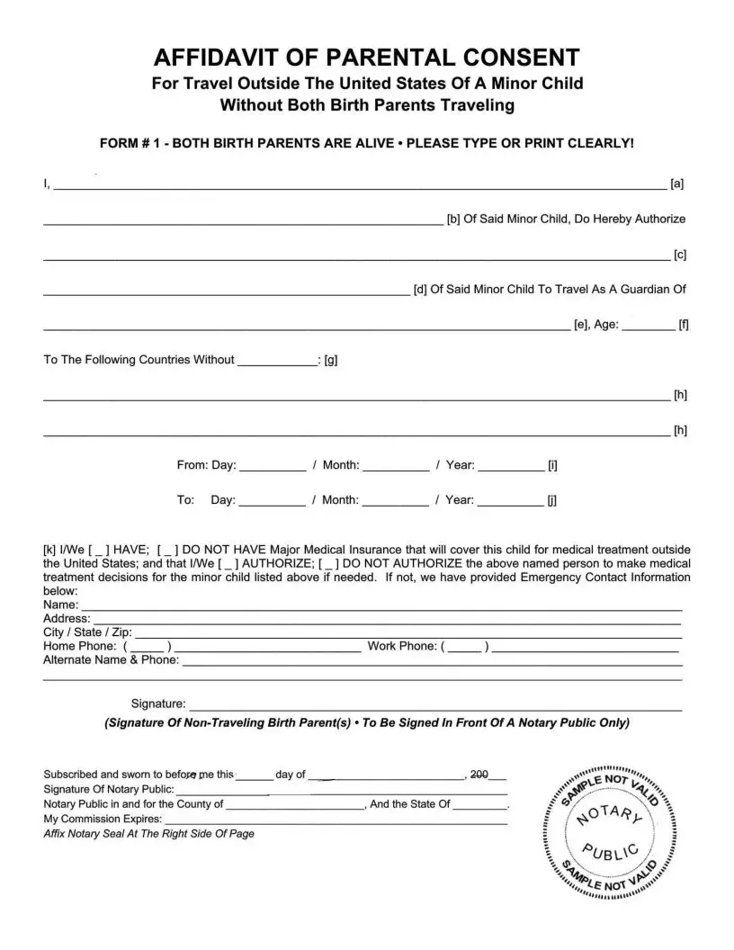 Blank Minor Child Sample Form | Fill Out and Print PDFs