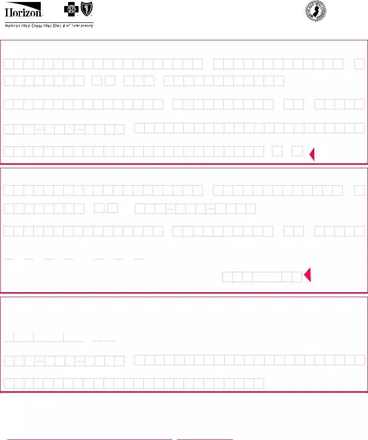 Blank Nj Direct Claim | Fill Out and Print PDFs