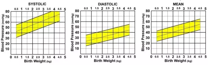 Blank Stable Program Pre Assessment | Fill Out and Print PDFs