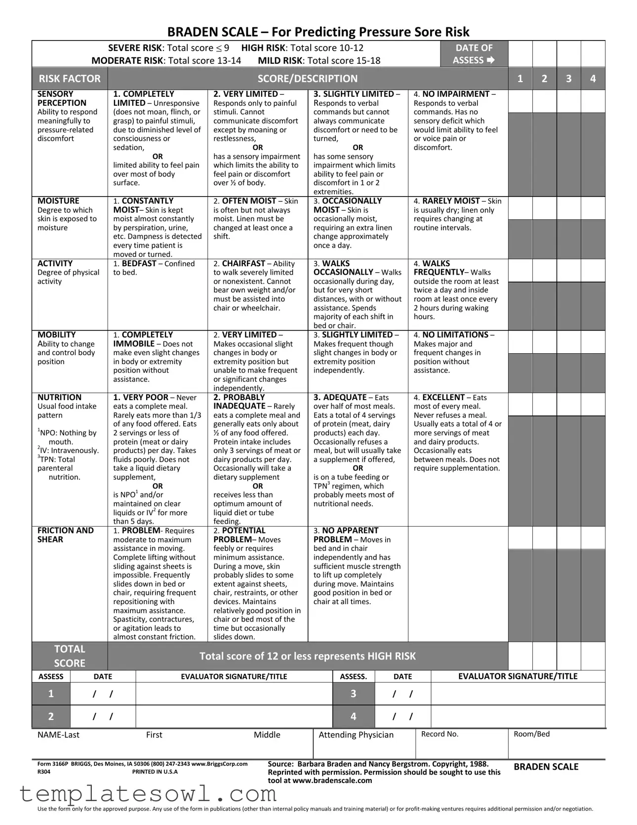 Download Braden Scale Form TemplatesOwl